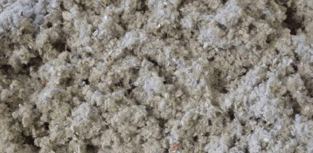 Conducibilità cellulosa – Ecocellulosa